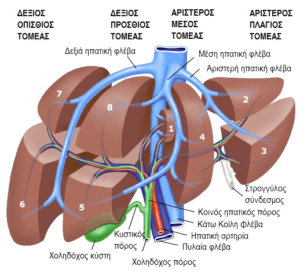 Ήπαρ - Παθήσεις και χειρουργικές τεχνικές | Δρ. Πέτρου Αθανάσιος